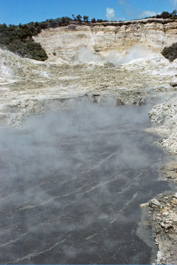 Reconnecting hapū and whānau with their whenua » The MacDiarmid Institute